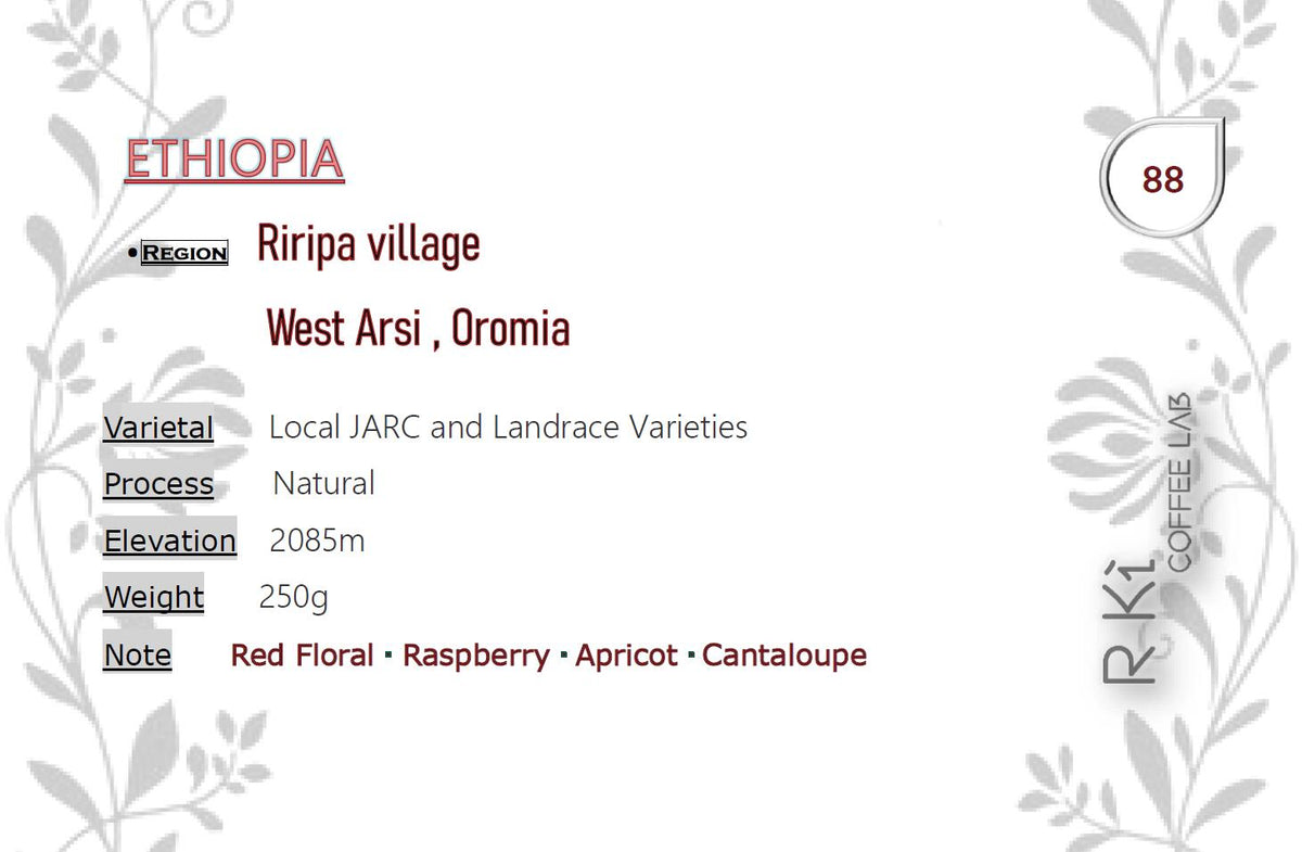 Ethiopia-Riripa village-West Arsi Oromia- Natural – R Ki Coffee Lab