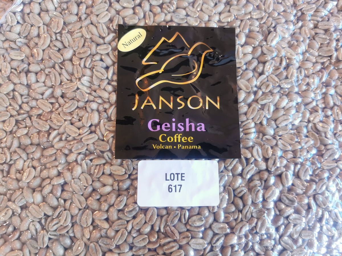 Panama-Janson Farm Lot 617 Geisha Natural – R Ki Coffee Lab