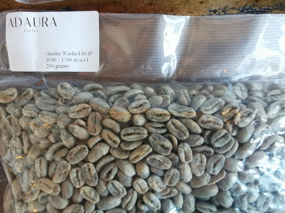 (Roasted on Jan 25 2025) 2024 BOP Adaura Kaizen Geisha washed 15g – R ...
