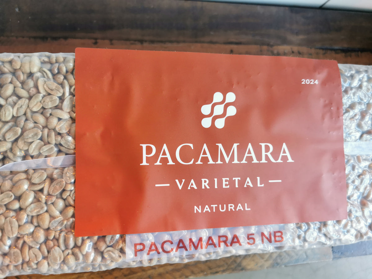 Panama-Hacienda La Esmeralda Pacamara 5NB – R Ki Coffee Lab