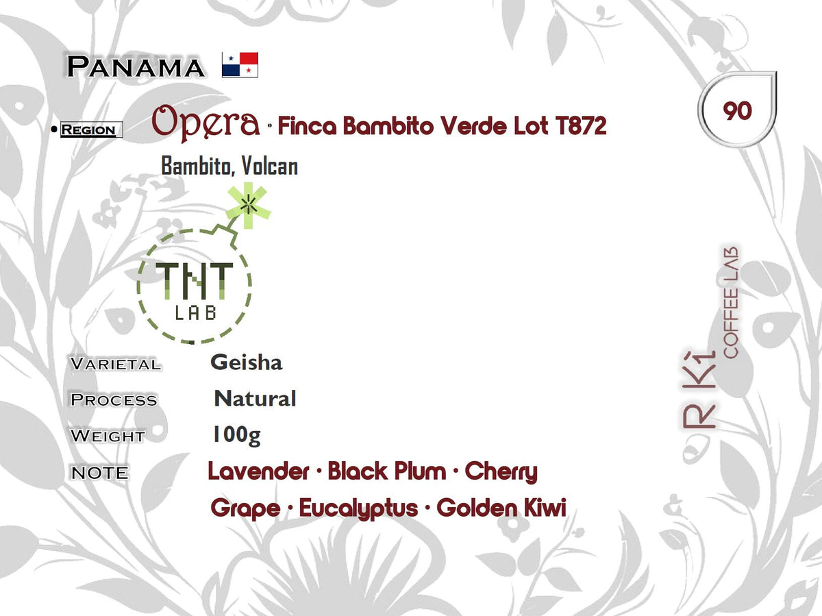 Panama-TNT x Bambito Verde-Opera Geisha Natural Lot T872 Green BEAN 2k ...