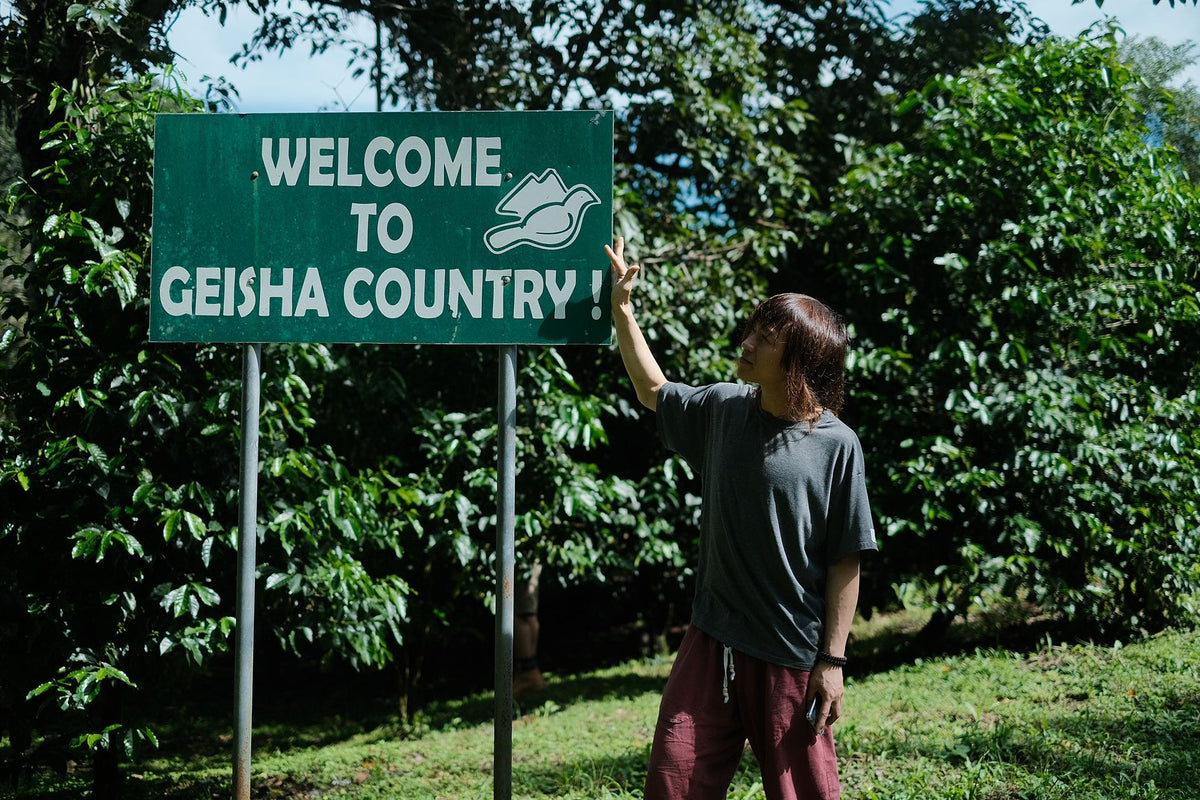 Panama-Janson Farm Lot 589 Geisha Washed – R Ki Coffee Lab